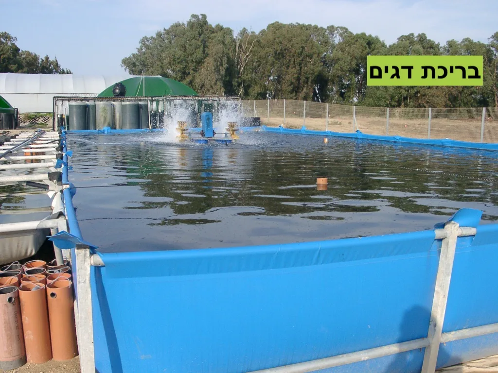 יריעות PVC: מה שצריך לדעת על הפתרון האידיאלי לאיטום - ארז מוצרים ...